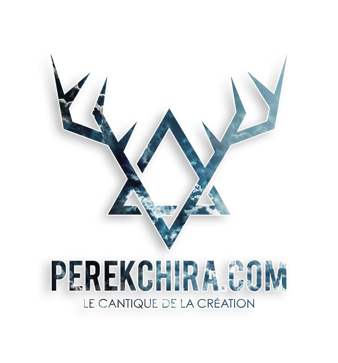 logo-nuage - PEREK CHIRA
